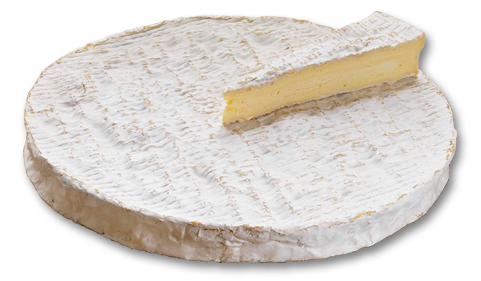 Brie de Meaux AOP Rouzaire